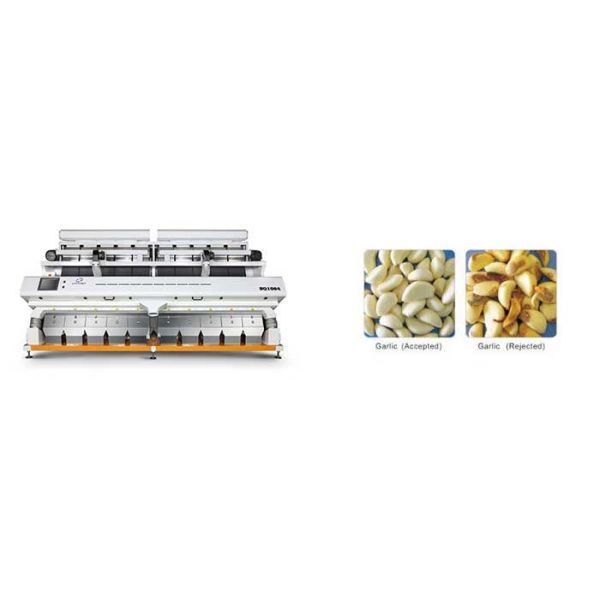 Quality Automatic Seed Sorting Machine Smart Operation Interface High Sensitivity for sale