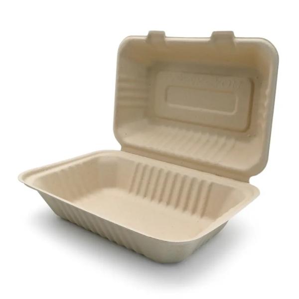 Quality 600ml 1000ml Dinnerware Compostable Party Tableware Bagasse Pulp Lunch Bento Box for sale
