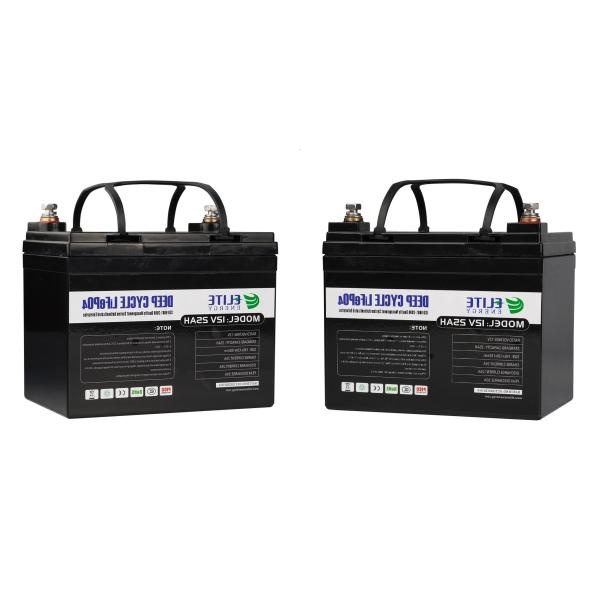 Quality 25Ah Portable Li Ion Battery for sale