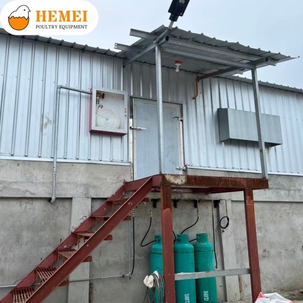 Quality CCS4 Floor Type Broiler Equipment for sale