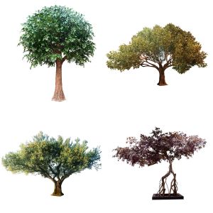 Quality ROHS 350cm Artificial Landscape Trees Fake Maple Tree For Airport for sale