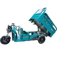 Quality Open 33 Hydraulic Shock 2.5m*1.0m Electric Cargo Tricycle for sale