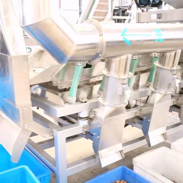 Quality CE Verified 380V Pecan Shelling Machine With High Perfect Kernel Rate for sale