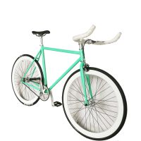 Quality American Colorful Fixed Gear Single Speed Track Bicycle with Caliper Brake 700C for sale