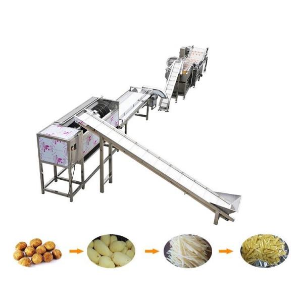 Quality 500Kg Potato Frozen French Fries Making Machine Multifunctional for sale
