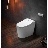 Quality Advanced Function Automatic Deodorization Toilet Integrated Multi-Function for sale