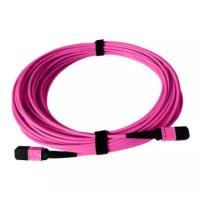 Quality MPO Low Insert Loss Fiber Optic Patch Cord for Data Center for sale