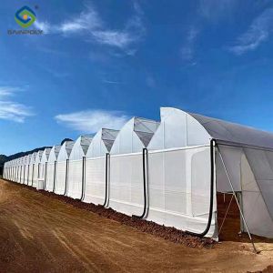 Quality Double Po Film Gothic High Tunnel Greenhouse High Strength Anticorrosive for sale