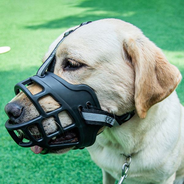 Quality Soft Silicone Dog Muzzle Anti-Licking Anti-Messing Allow Drinking & Panting for sale