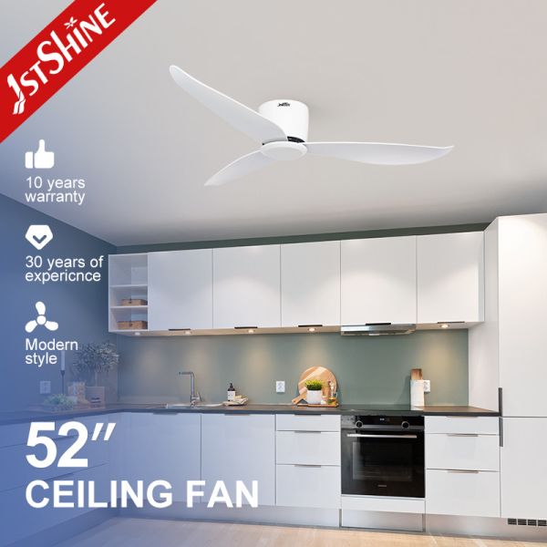 Quality White Modern Flush Mount Ceiling Fan , DC Motor Kitchen Fan Light for sale