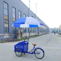 Quality Customizable Vegetables Electric Food Bike for Street Food Vending and Cigarette for sale