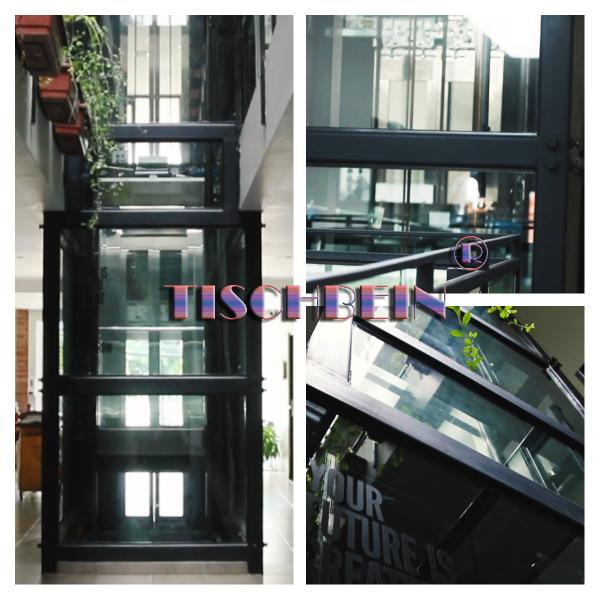 Quality 1.5m/s 2.0m/s 2.5m/s Speed 800kg 1000kg 1500kg Panoramic Lift 150m Travel With Glass Wall and Glass Doors for sale