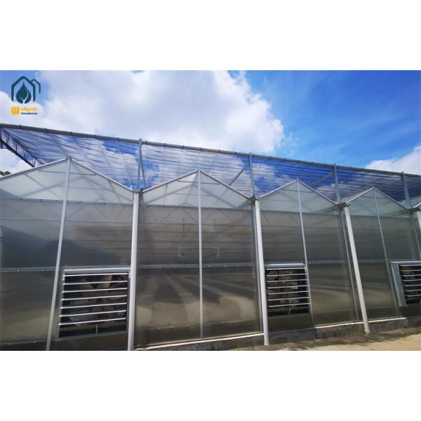Quality High Yield Farming Polycarbonate Greenhouse UV Resistant Flower Farm Greenhouse for sale