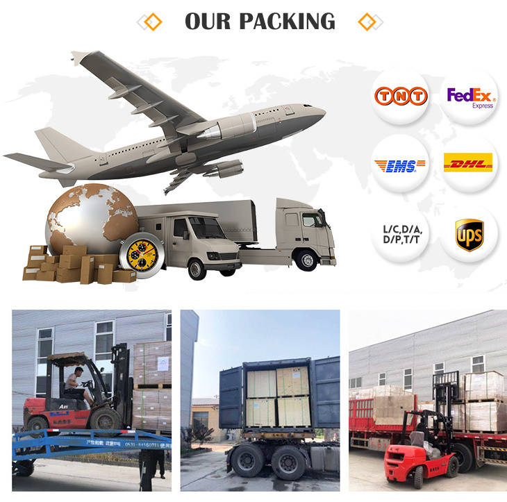 OEM Customized Aluminium Mechanical Sand Blasting/Anodizing ADC -12 Die Casting Spare Part