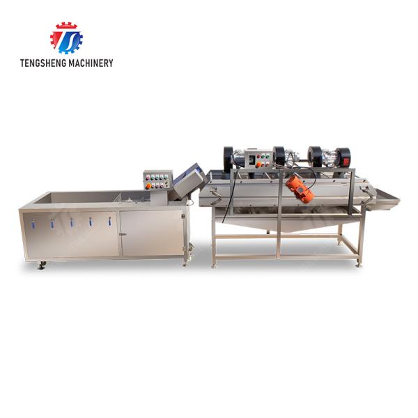 Quality Bubble washing vibration air drying production line Orange Vegetable Herbs Fruit for sale