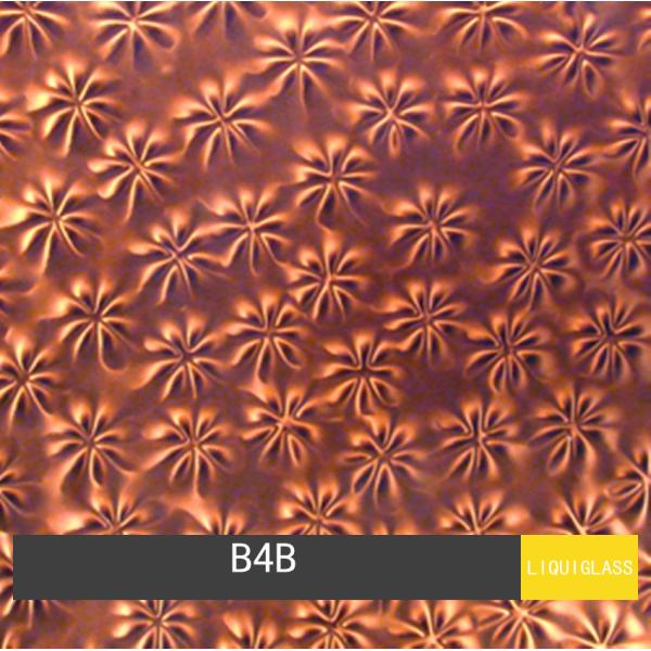 Quality Dynamic Pattern Printed Laminated Glass 2440X1830MM for sale