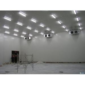 Quality Bespoke Cold Rooms 100mm Panel Vegetable Cold Storage Room for sale