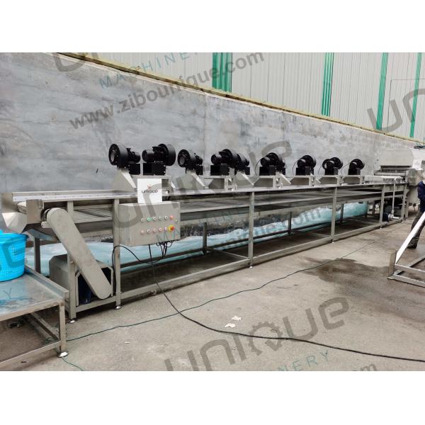 Quality Revolutionize Your Palm Syrup Production with Our Dates Cleaning and Washing for sale