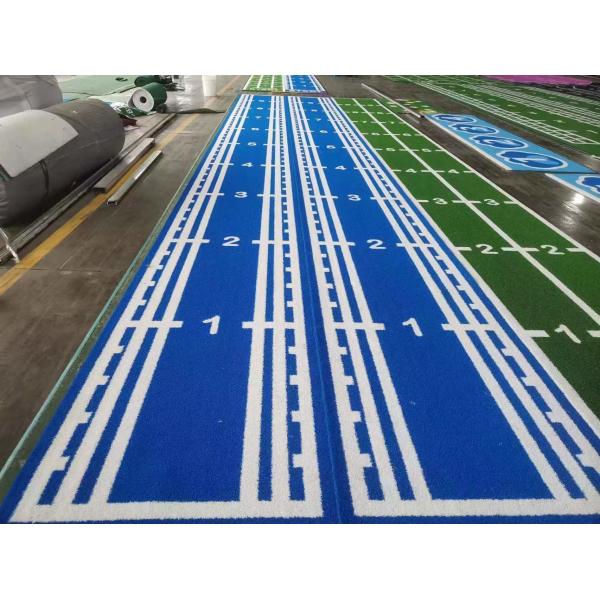 Quality 63000 Stitches/m2 Density Dorelom Indoor Gym Flooring Turf with Double PP NET for sale