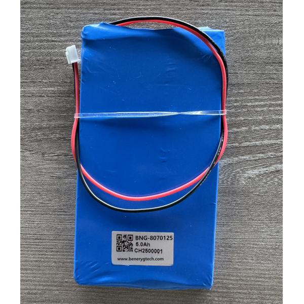 Quality E Bike 12V Lithium Ion Battery Deep Cycle LiFePO4 Vehicle Use for sale