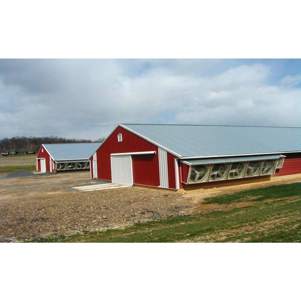 Quality Hotel Design Style Precision-Engineered Steel Structure Chicken Coop for Optimal for sale