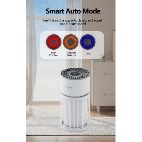Quality Portable Smart Hepa 13 Air Purifier Smoke Eater 600 Sq Ft Custom for sale