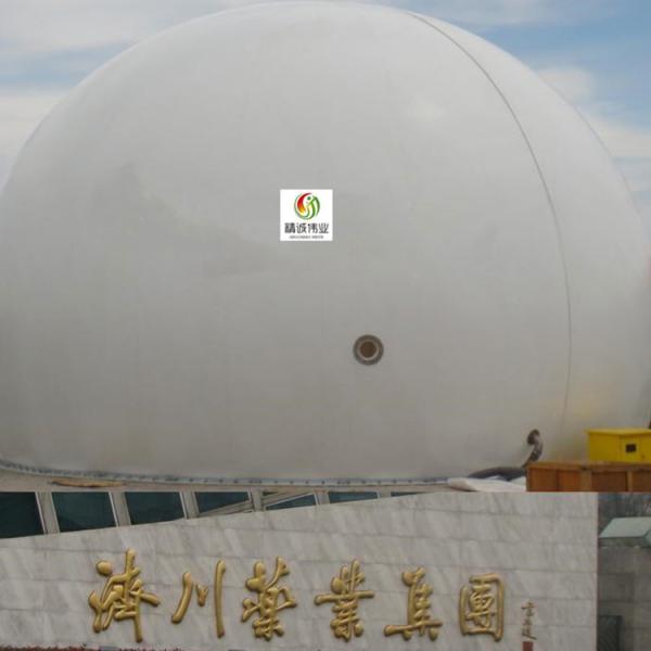 Quality Wastewater PVC Double Membrane Biogas Holder Methane Gas Tank for sale