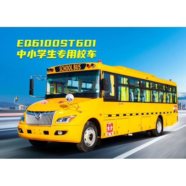 Quality Dongfeng ICE 24-56 seat school bus for sale