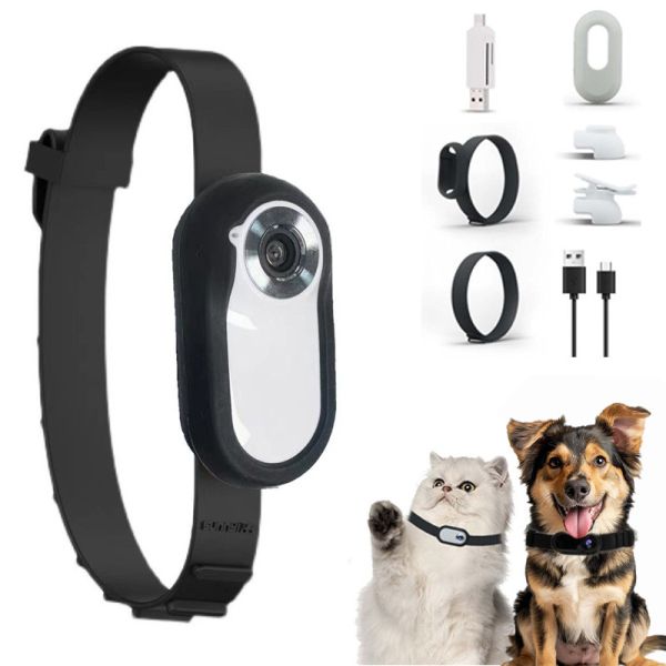 Quality Outdoor Sports Pet Camera Collar ABS 1920*1080 Cat Camera Collar for sale