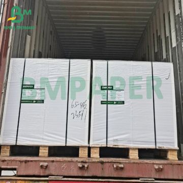 55gsm Carbon Duplicate Copy Paper For Sketching Blank NCR Paper 55gsm Carbon Duplicate Copy Paper For Sketching Blank NCR Paper