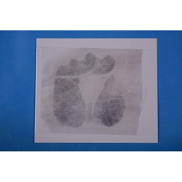 Quality C163 White high gloss Palm print backing sheet for sale