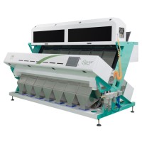 Quality High Accuracy CCD Optical Multifunction Garlic Color Separator Popular In Brazil for sale