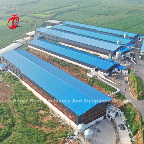 Quality Automatic Poultry Battery Cage System Coated Wire With Long Lifespan  Nigeria Sandy for sale