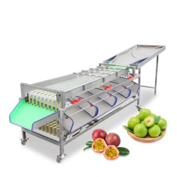 Quality Hotels Benefit From Fruit Weight Selecting And Automatic Fruit Size Grader For for sale