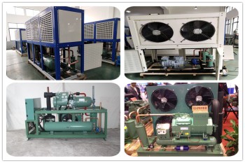 China Factory - Shenzhen Ruifujie Technology Co., Ltd.