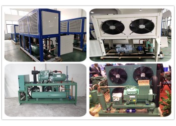 China Factory - Shenzhen Ruifujie Technology Co., Ltd.
