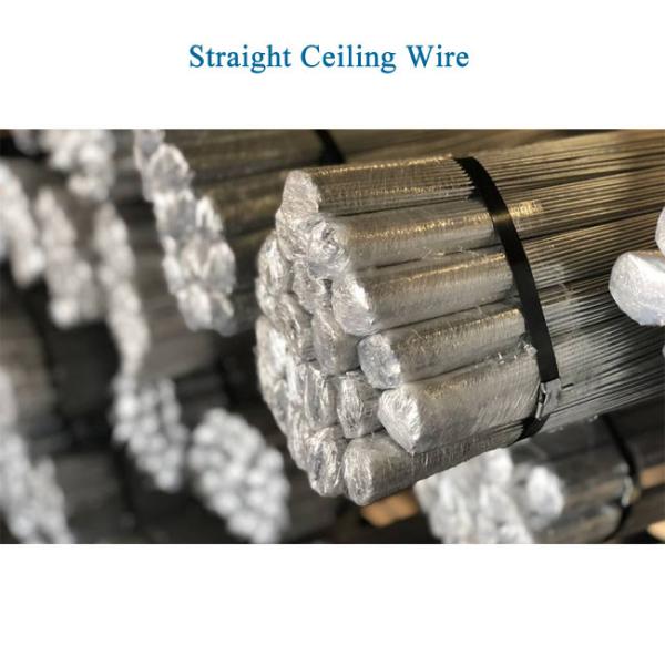 Quality Q195 EG Straight Ceiling Wire 12ft 12 Gauge for sale
