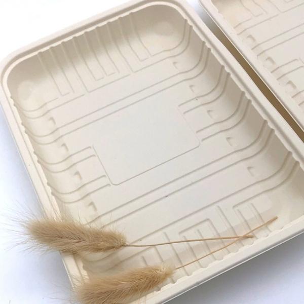 Quality Biodegradable Sealable Meat Cornstarch Tableware Frozen Food Tray Container for sale