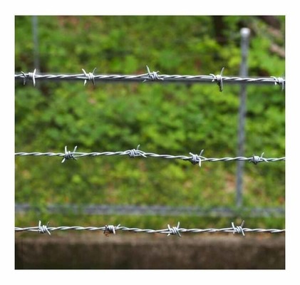 Quality Use Of Prison Walls Anti Climb Single Strand PVC Coated Iron Barbed Wire for sale