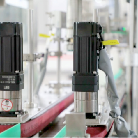 Quality Twin Heads Automatic Follow Type Capping Machine FXG-2E 2500BPH for sale
