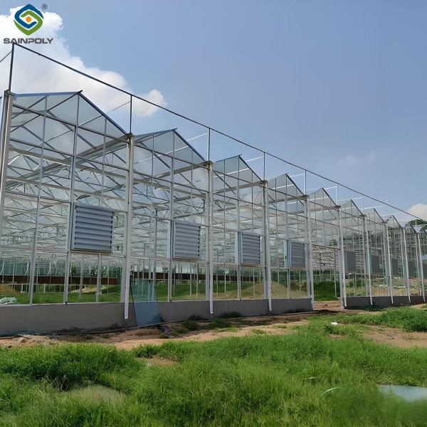 Quality Adjustable Shading Net Venlo Greenhouse  Multi Span Glass Green House for sale