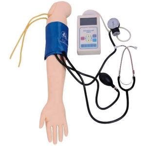 Quality Advanced Blood Pressure Training Arm Simulator Model for Clinical Nursing for sale
