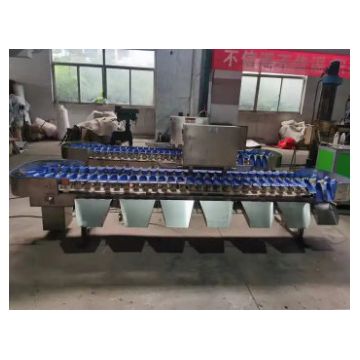 Quality Pear Avocado Full Automatic Grading Machine for sale