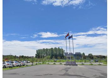 China Factory - Henan Youth-Sun lmport & Export Co., Limited.v