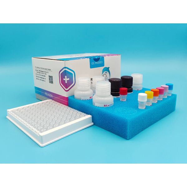 Quality 1 Year Shelf Life Aflatoxin M1 KIT For High Sensitivity And Accuracy for sale