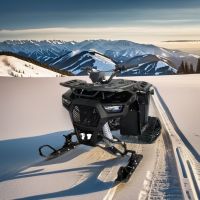 Quality Mini Snowmobiles 125cc 150cc Snowmobiles with Electric Start and Chain for sale