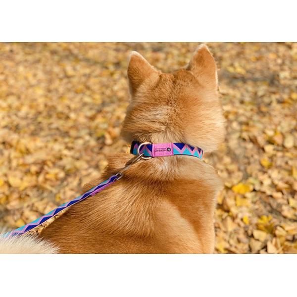 Quality Adjustable Dog Walking Collars And Leashes Rainbow Girl Newborn Puppy Collar for sale