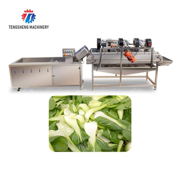 Quality Bubble washing vibration air drying production line Orange Vegetable Herbs Fruit for sale