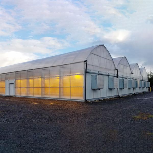 Quality Agriculture Hemps Growing Light Deprivation Greenhouse Automated Blackout for sale