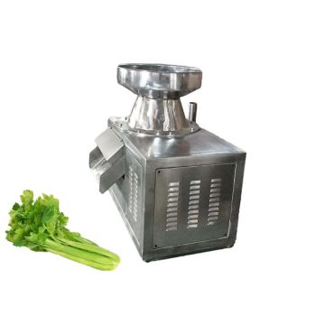 Quality Safety Vegetable Processing Line Stable Performance Celery Processing Equipment for sale